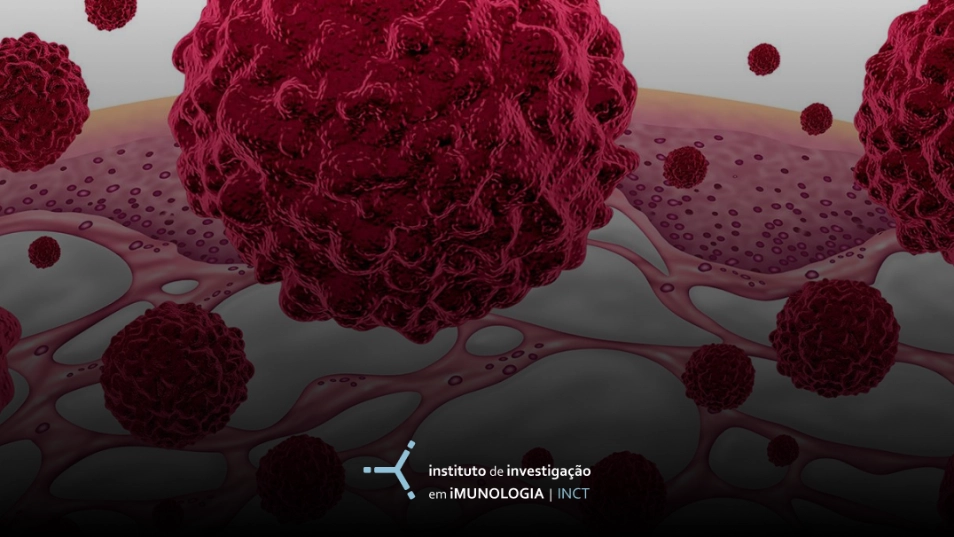 iii-INCT - Um novo nicho para explorar: o interstício